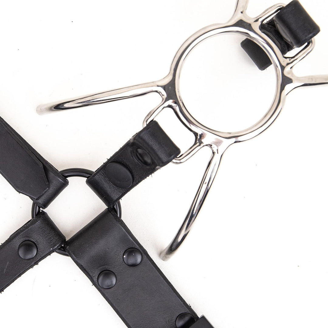 Spider Gag add on for Nose Hook Head Harness at Fetters | Your BDSM ...